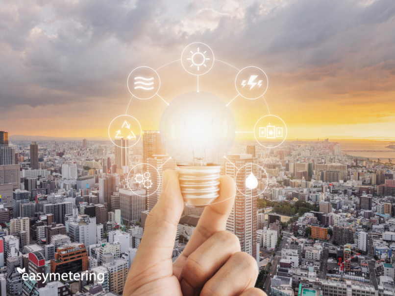 The Future of Energy: An Insight into Smart Grids - Easymetering
